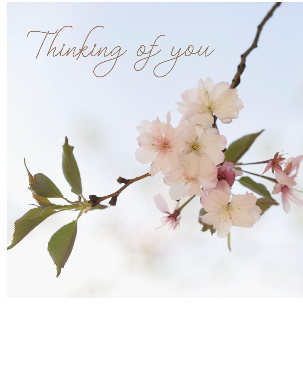 Handwritten Note Card